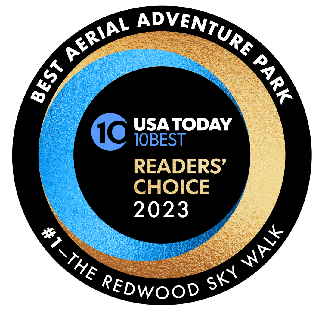 Redwood Sky Walk | Eureka, California | Redwood Sky Walk