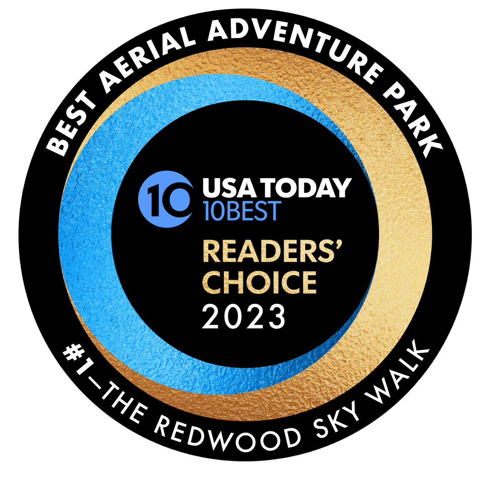 Redwood Sky Walk | Eureka, California | Redwood Sky Walk